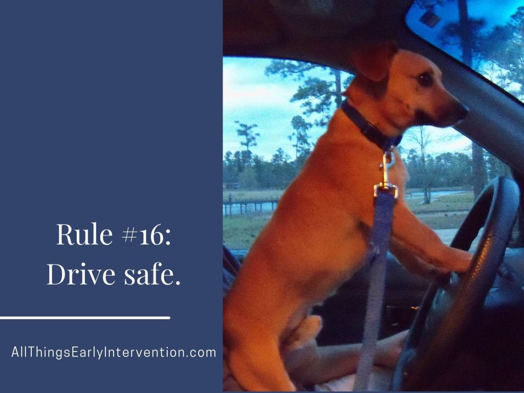 Rule 16: Drive Safe. – All Things Early Intervention