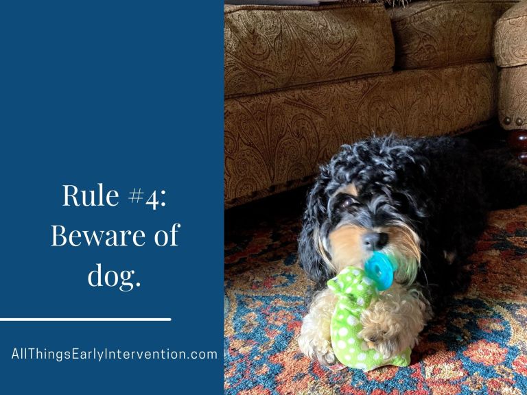 Rule 4: Beware of dog. – All Things Early Intervention