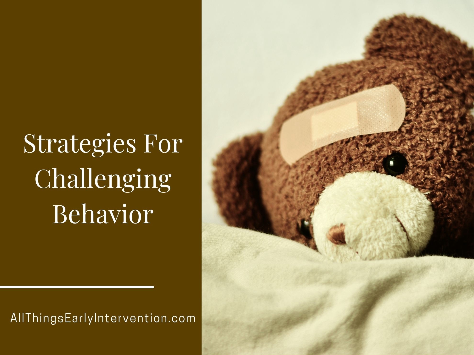 Strategies For Challenging Behavior – All Things Early Intervention